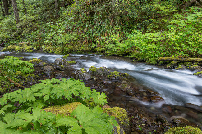 Loon Peak® USA Washington State Olympic National Forest Big Quilcene River Rapids Credit As: Don ...